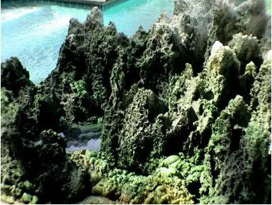 JinBa Pui Chu Yee Rinpoche a World-class “Children’s artist” – Peace LiLy