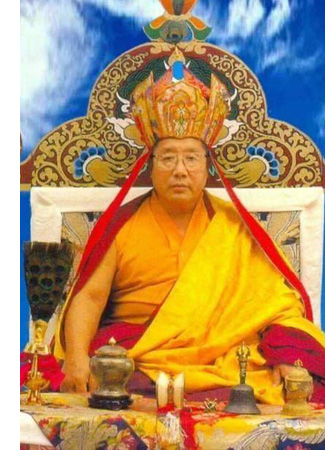 The Life and Legacy of His Holiness Penor Rinpoche – Peace LiLy