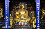 Discover Longxing Temple: A Timeless Treasure of Chinese Buddhism ...