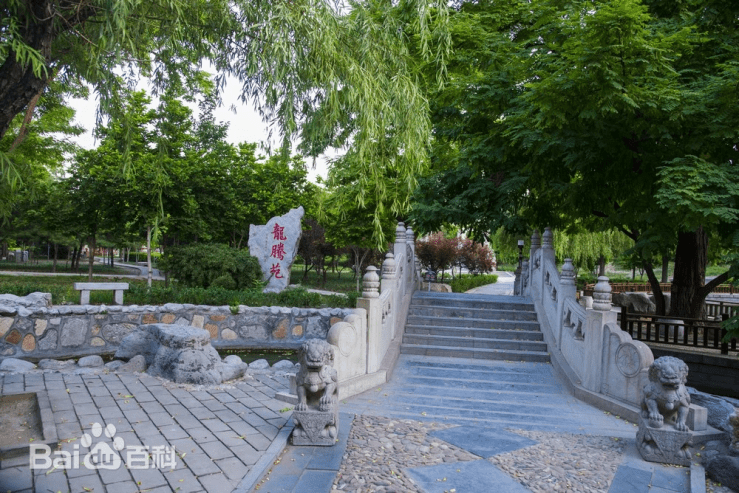 Discover Longxing Temple: A Timeless Treasure of Chinese Buddhism ...