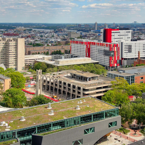 A Small Gift, A Big Dream: The Story Behind Temple University – Peace LiLy